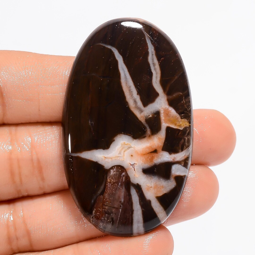 Natural Mud Crake Septarian Gronates Cabochon Both Side Polished Mud ...