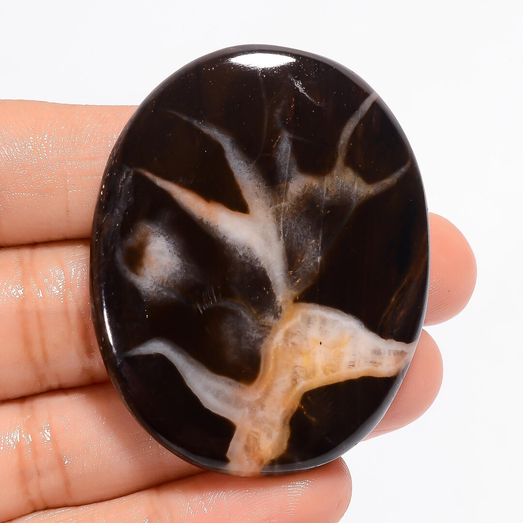 Natural Mud Crake Septarian Gronates Cabochon Both Side Polished Mud ...