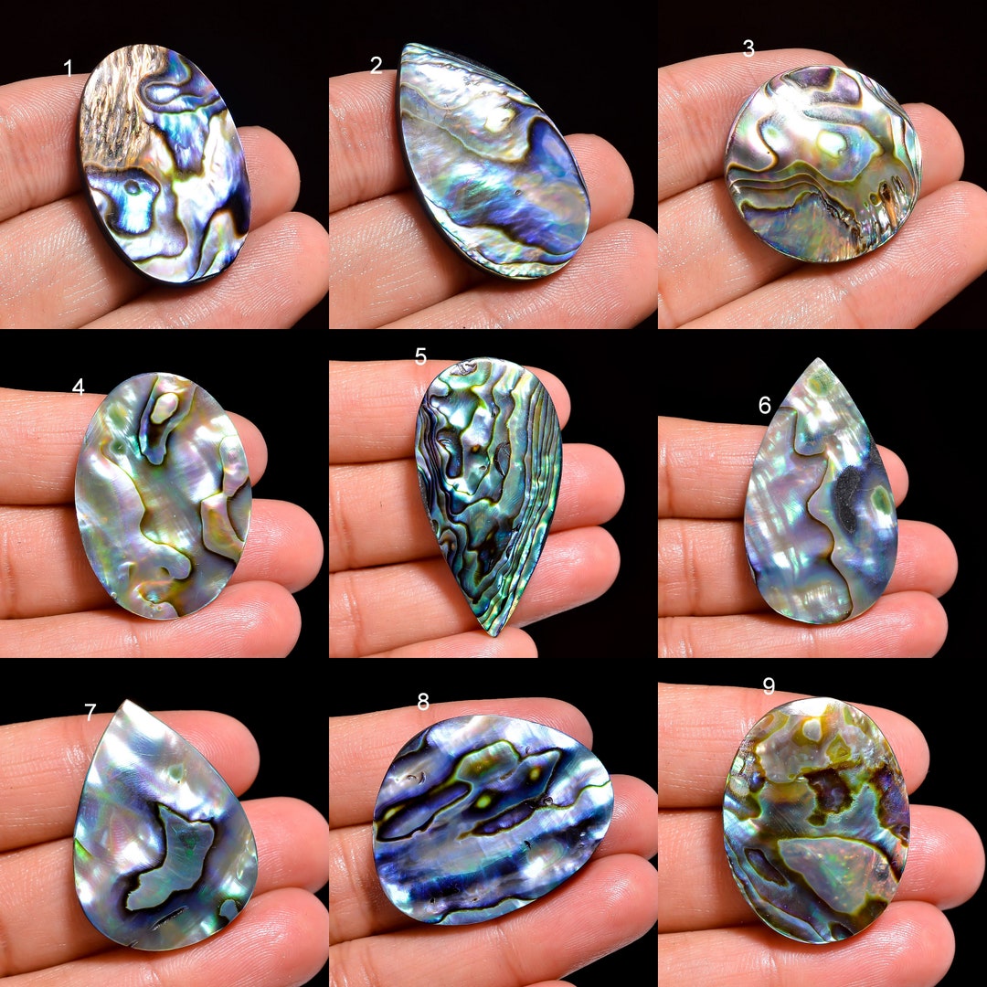 Abalone Shell Gemstone Fancy Design Abalone Shell Cabs - Etsy