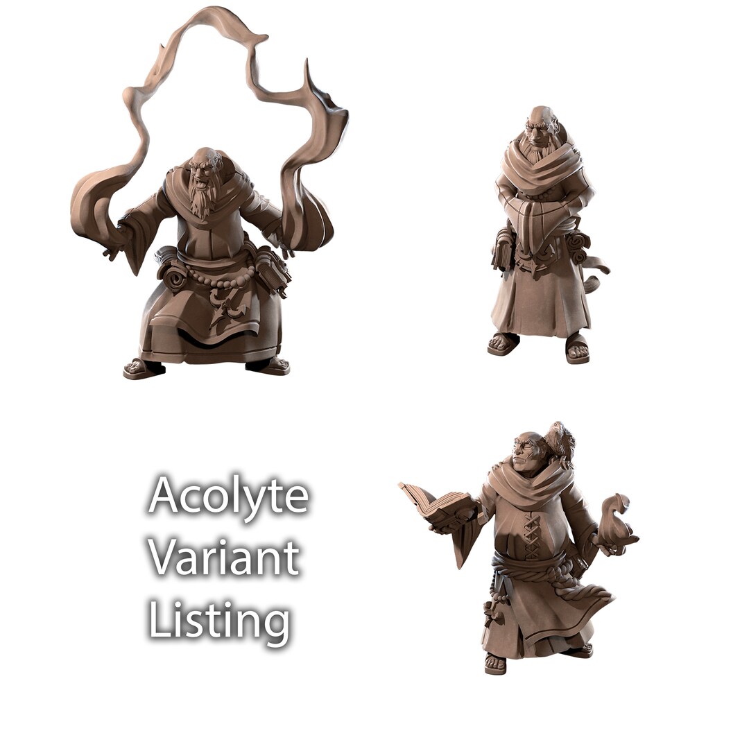 Acolytes | Unpainted Resin Miniature for Dnd RPG Tabletop - Etsy