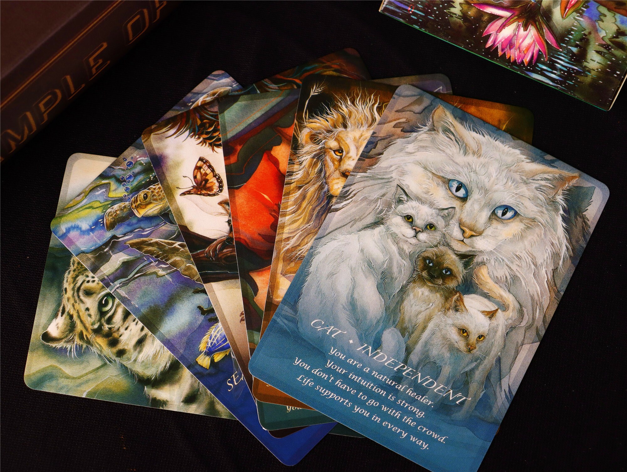 Animal oracle tarot deck for beginners / Spirit of the Animals | Etsy