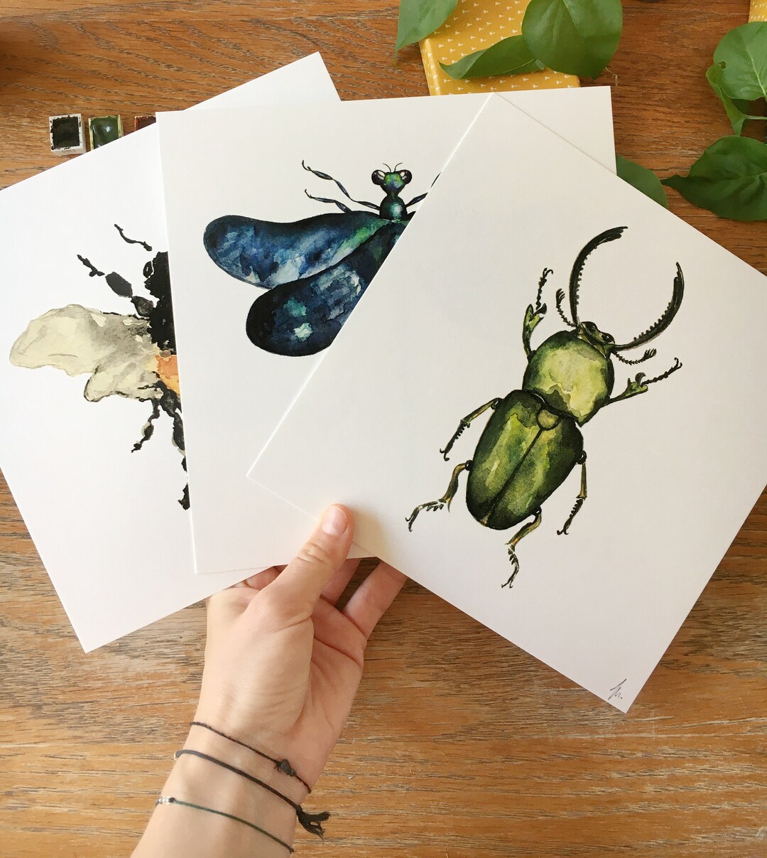 Watercolor Animal Art Print, Set of 6, Insects, Forest Animals ...