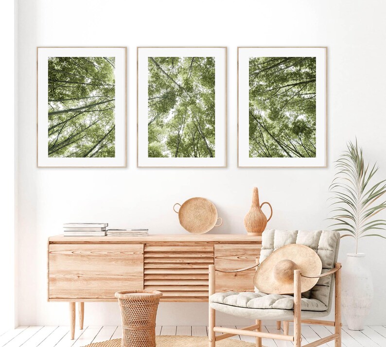 Green Forest Canopy Print Set: Nature Photography Gallery Wall Art - Etsy