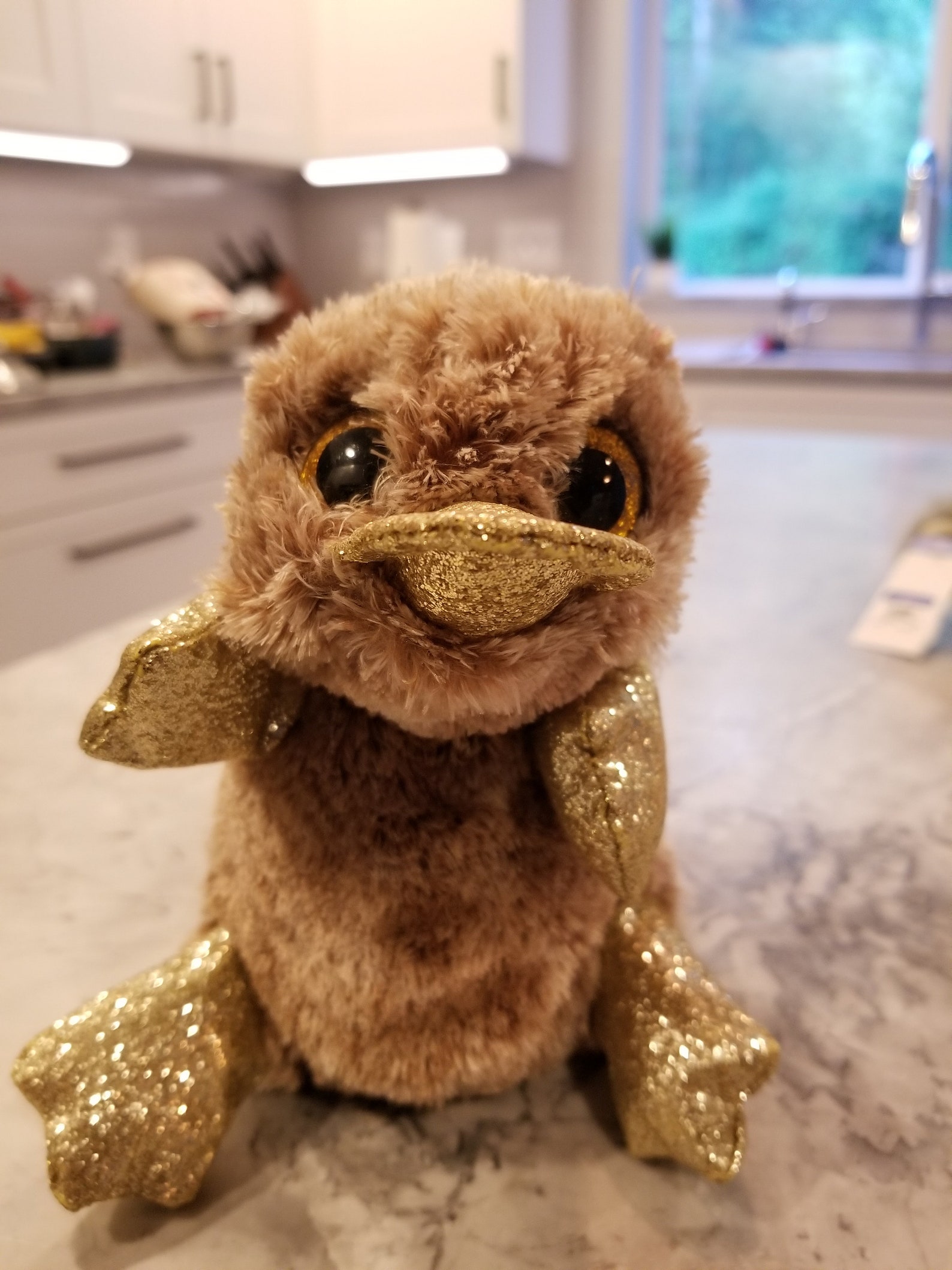 Ty Beanie Boo Perry the Platypus new with tag | Etsy