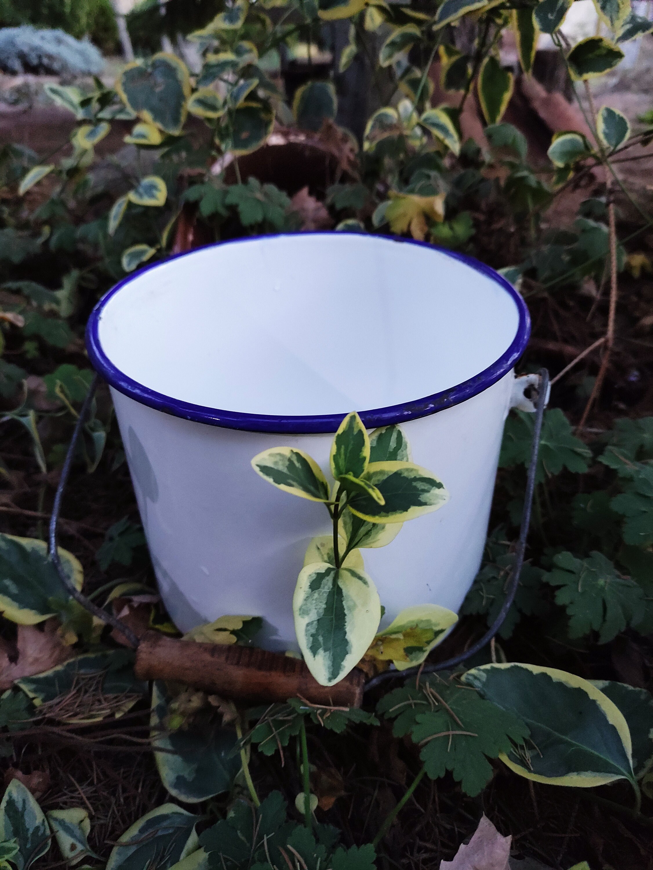 White Enamel Storage Container With Handle Vintage Milk Can Farmhouse ...