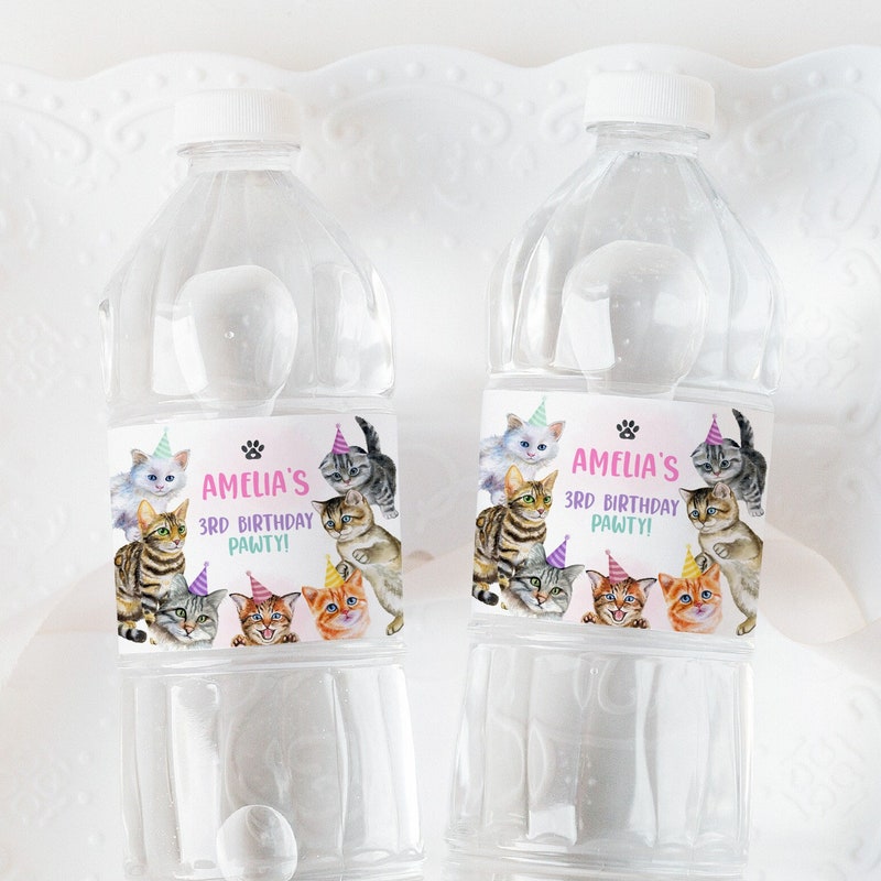 Cat Drink Water Sticker - Etsy