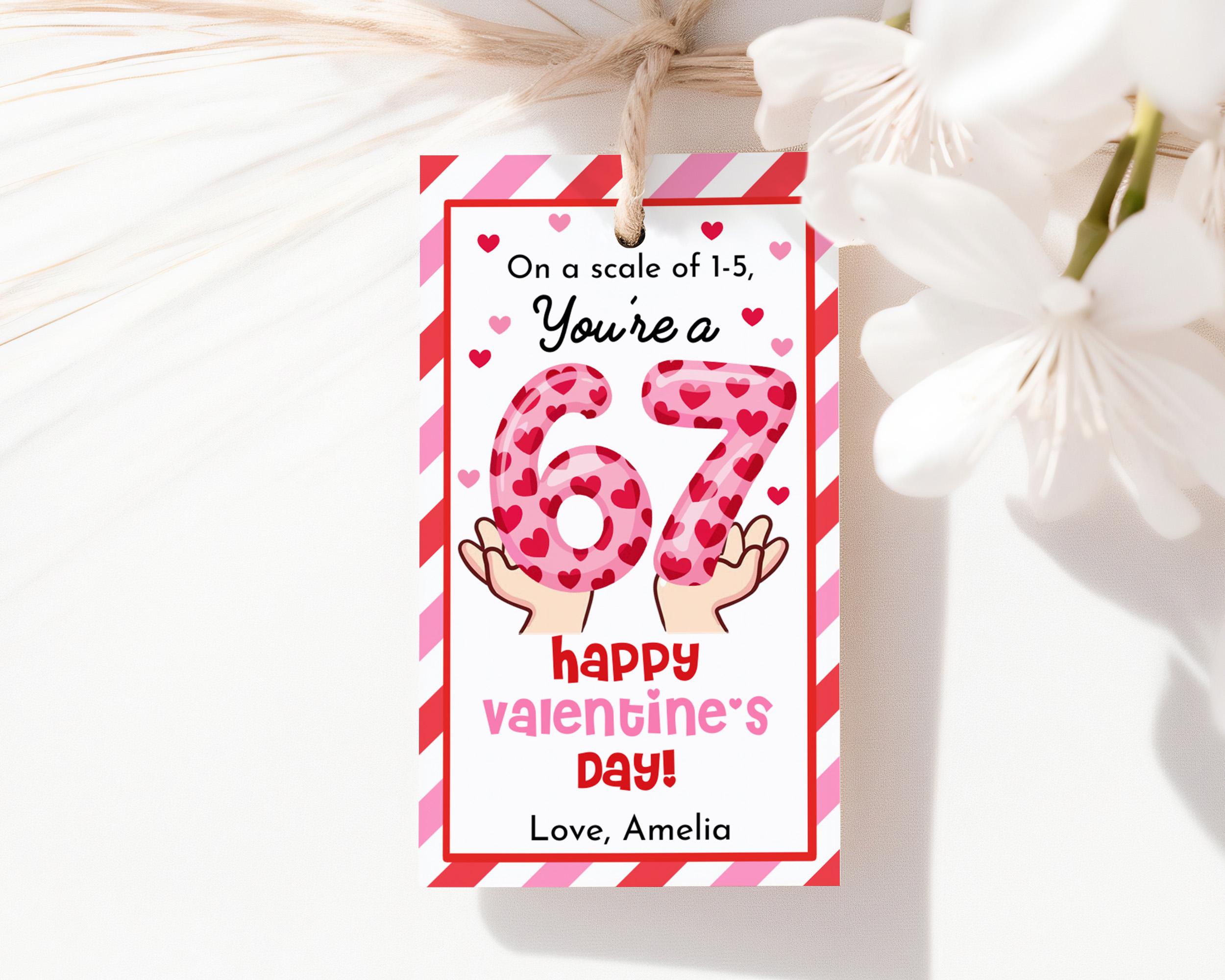 67 Valentine's Day Gift Tag, on a Scale of 1-5, You're a 6 7 Valentine ...