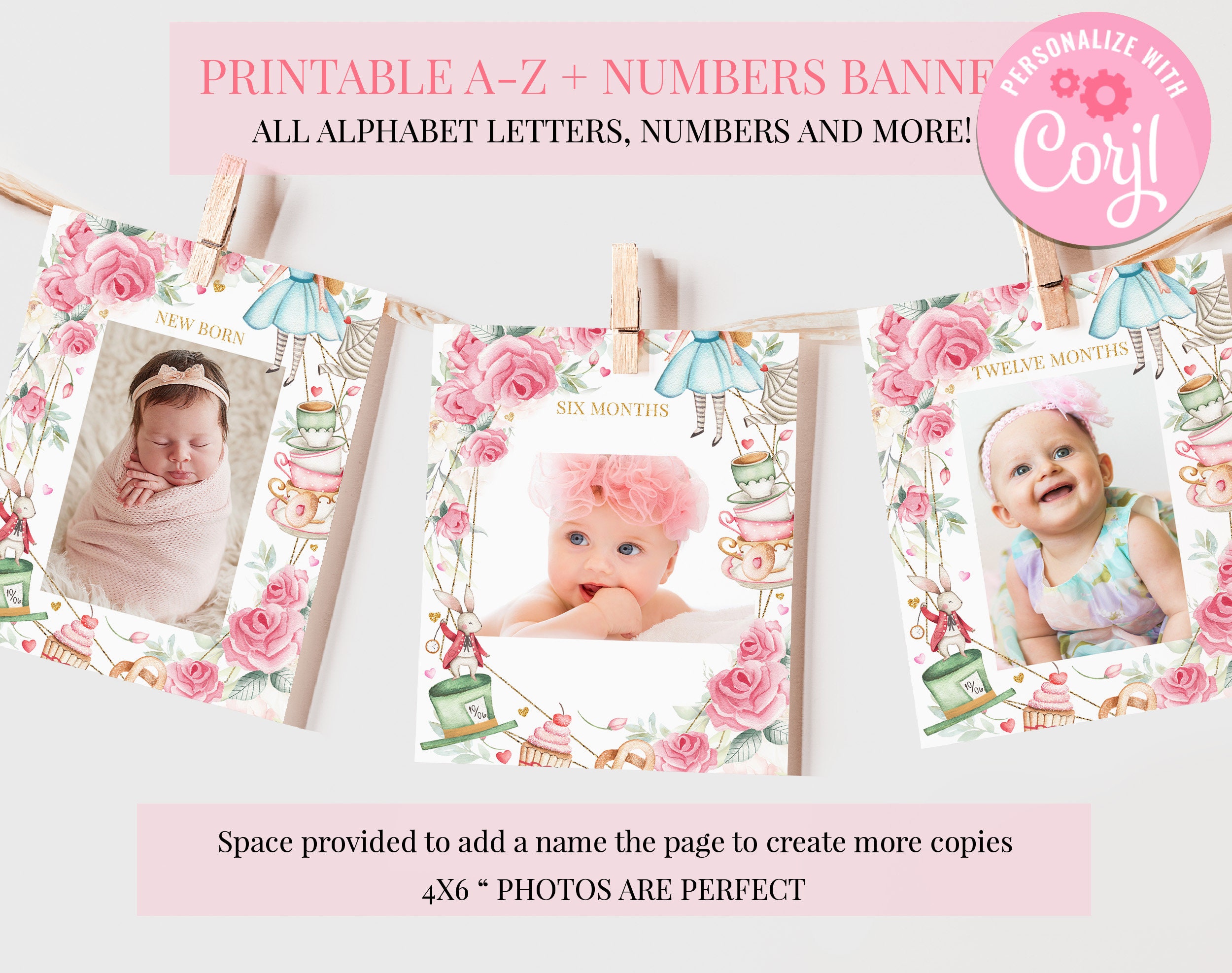 Alice in Wonderland Monthly Photo Banner Alice in Onederland Girl 1st ...