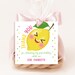 Lemon Thank You Tag Lemonade Party Gift Tags Baby Shower Favor - Etsy