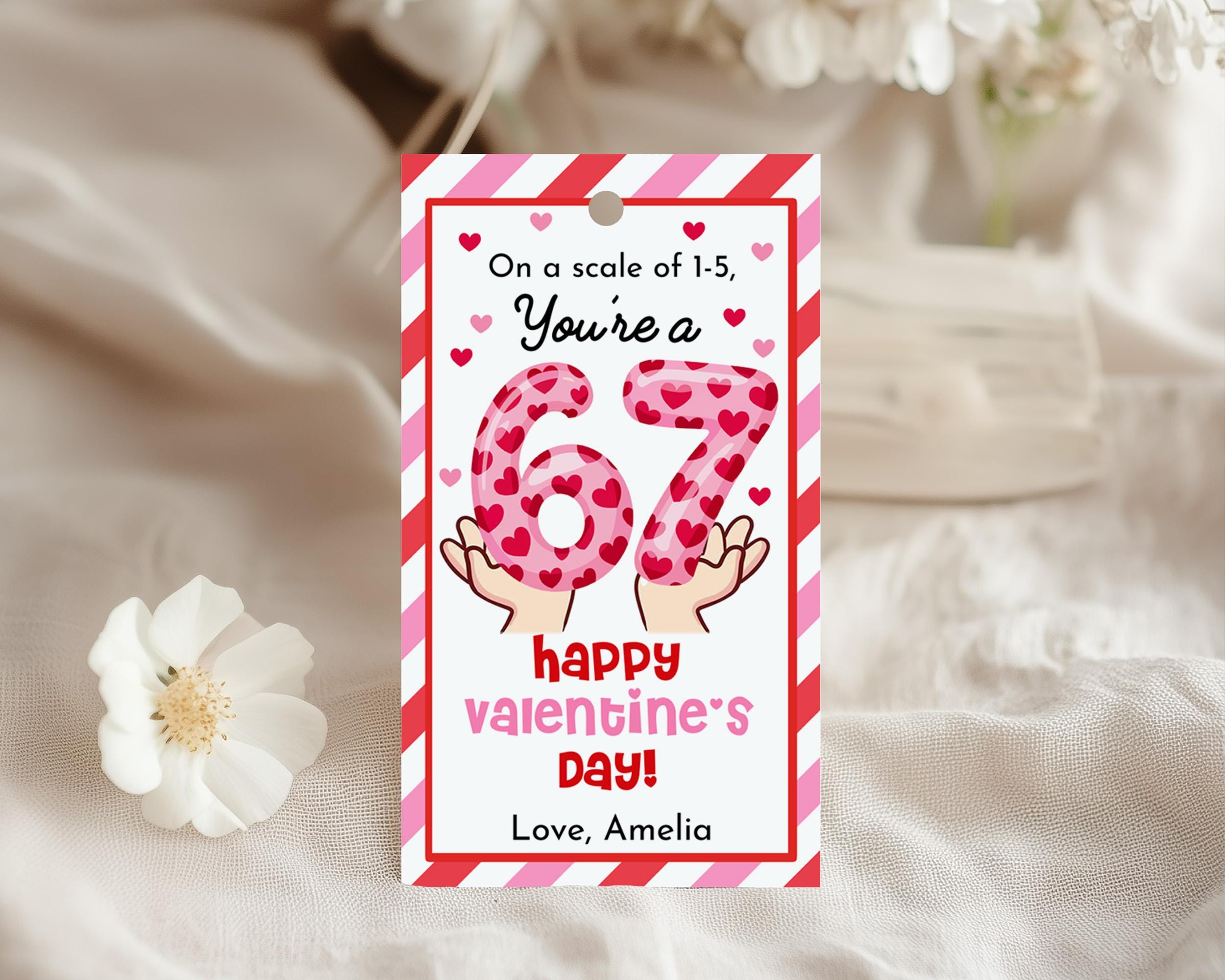 67 Valentine's Day Gift Tag, on a Scale of 1-5, You're a 6 7 Valentine ...