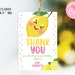 Lemon Gift Tag Birthday Party Favor Label Lemonade Thank You Stickers ...