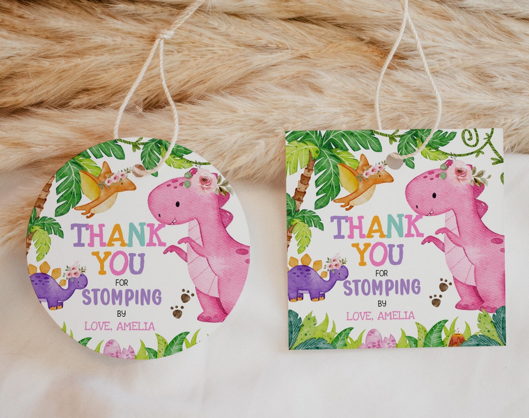Dinosaur Baby Shower Gift Tags It's a Girl 1st Birthday Party Decor ...