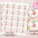 Peach Birthday Favor Tags One Sweet as a Peach Thank You Stickers ...