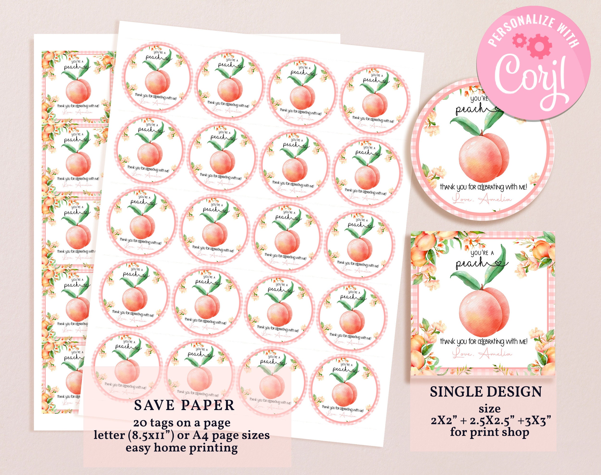 Peach Birthday Favor Tags One Sweet as a Peach Thank You Stickers ...