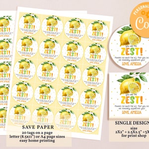 You're the Zest Gift Tag Lemon Teacher Appreciation Lemonade Favor Tags ...