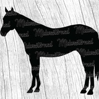 Quarter Horse SVG Bundle, Horse Show Vectors, QH Silhouettes, Horse PNG ...