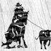 Breakaway Roper SVG, Western Horse, Roper, Ranch Riding, Cowboy ...