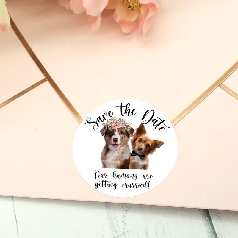 Save the Date Dog - Etsy
