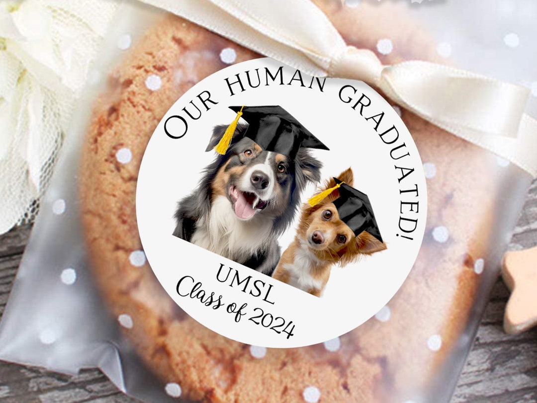 Graduation Stickers for Favors, Graduation Party 2024 Decorations, My ...