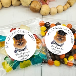 Graduation Stickers for Favors, Graduation Party 2024 Decorations, My ...