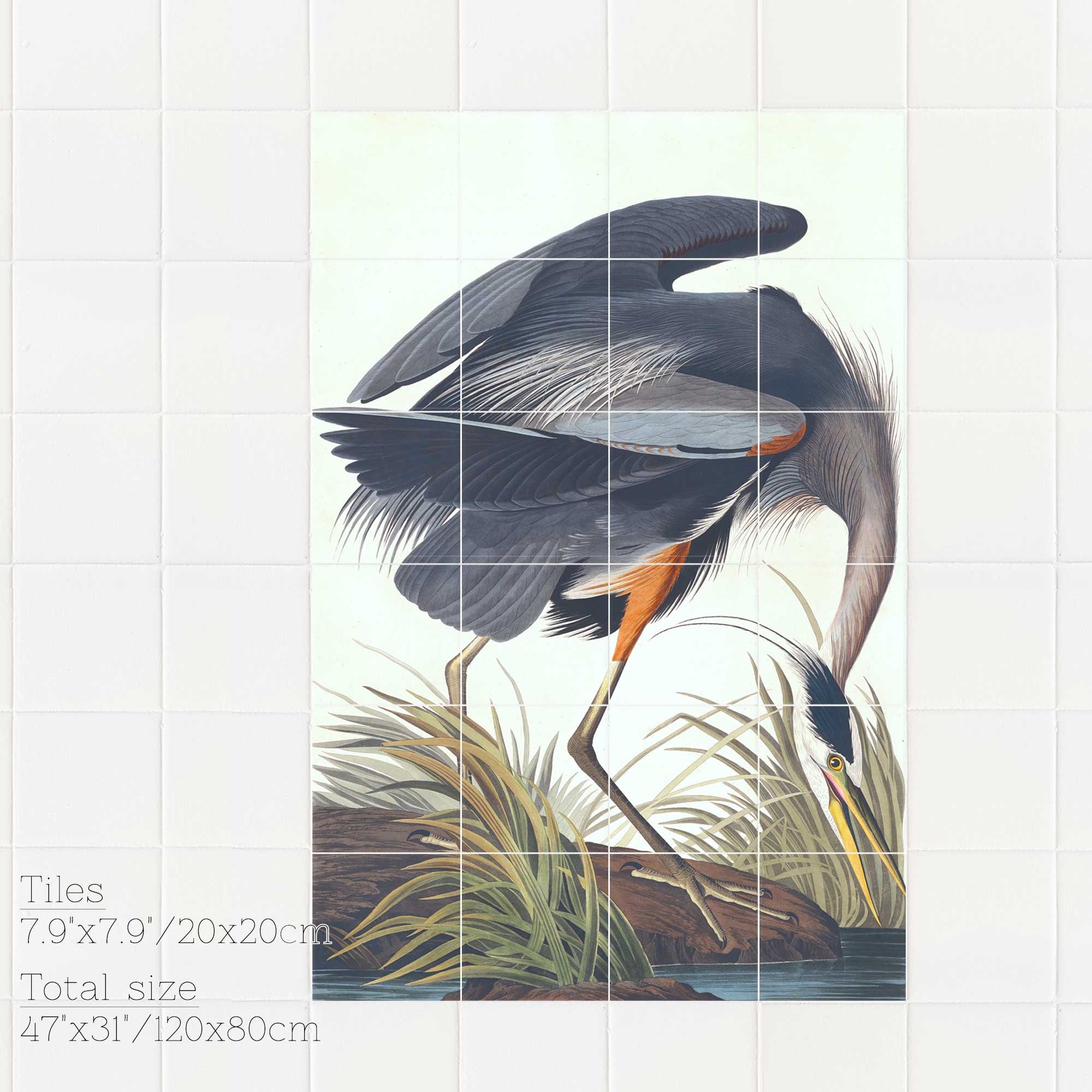 Mural Tile Set of the Blue Heron by Audubon, Tiles Mural With a Bird ...