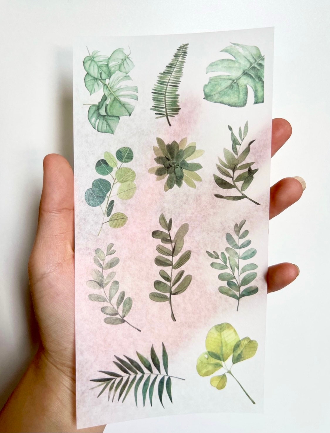 3x Indoor Plant Sticker Sheets Washi Sticker Pack Journal | Etsy
