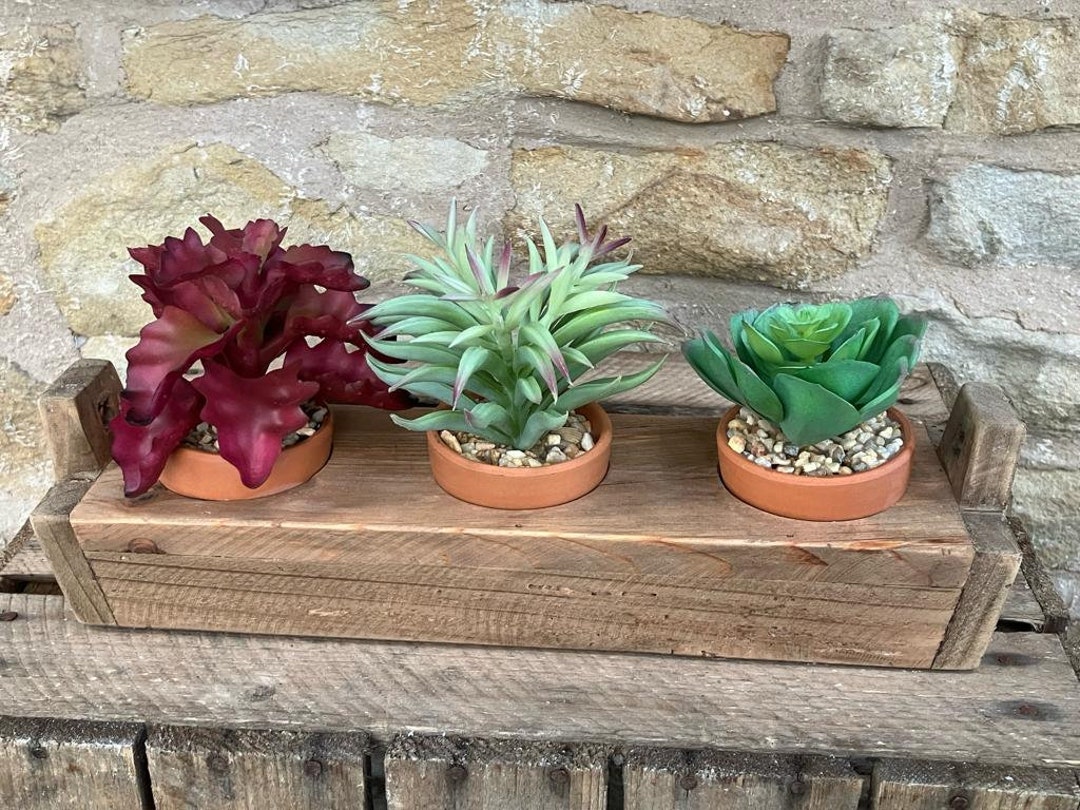 Artificial Trio of Succulent in Wooden Planter - Etsy