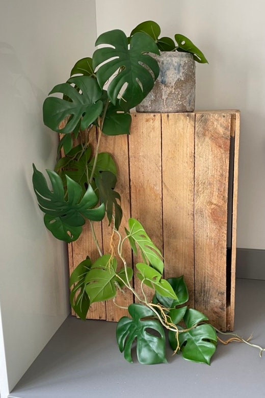 Artificial Trailing Monstera Vine 110cm - Etsy UK