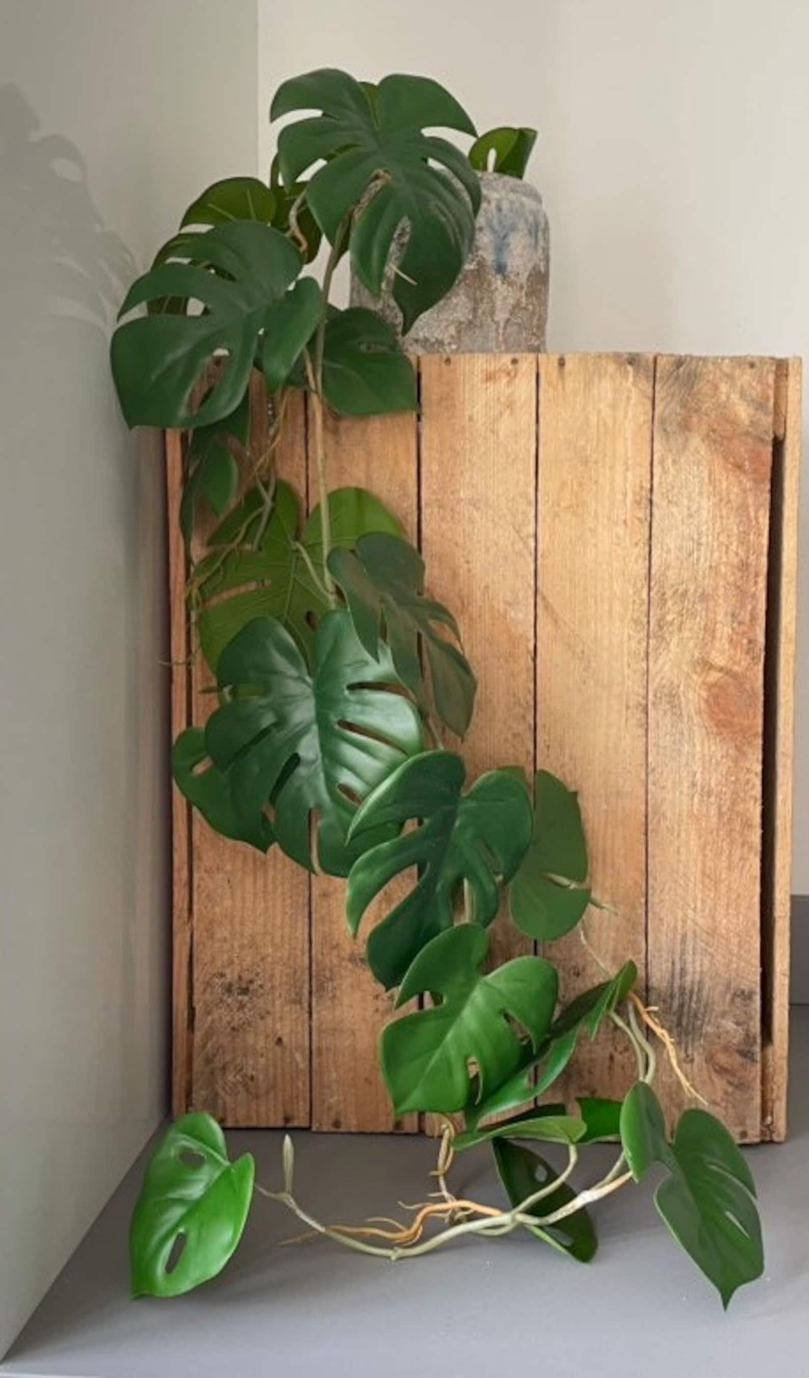 Artificial Trailing Monstera Vine 110cm - Etsy UK