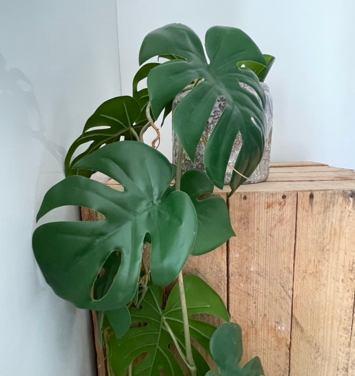 Artificial Trailing Monstera Vine 110cm - Etsy UK