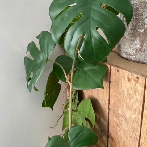 Artificial Trailing Monstera Vine 110cm - Etsy UK