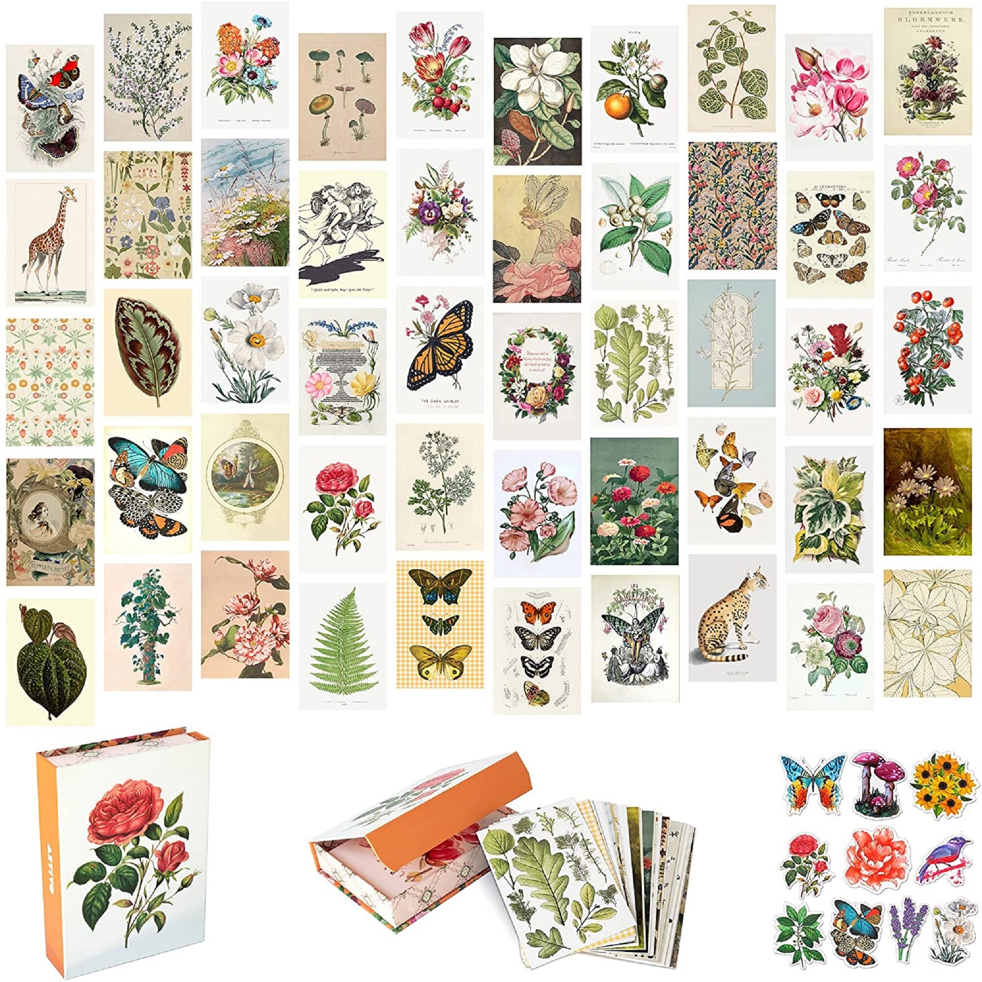 Vintage Wall Collage Kit, Botanical Wall Collage Cards, Vintage Wall ...