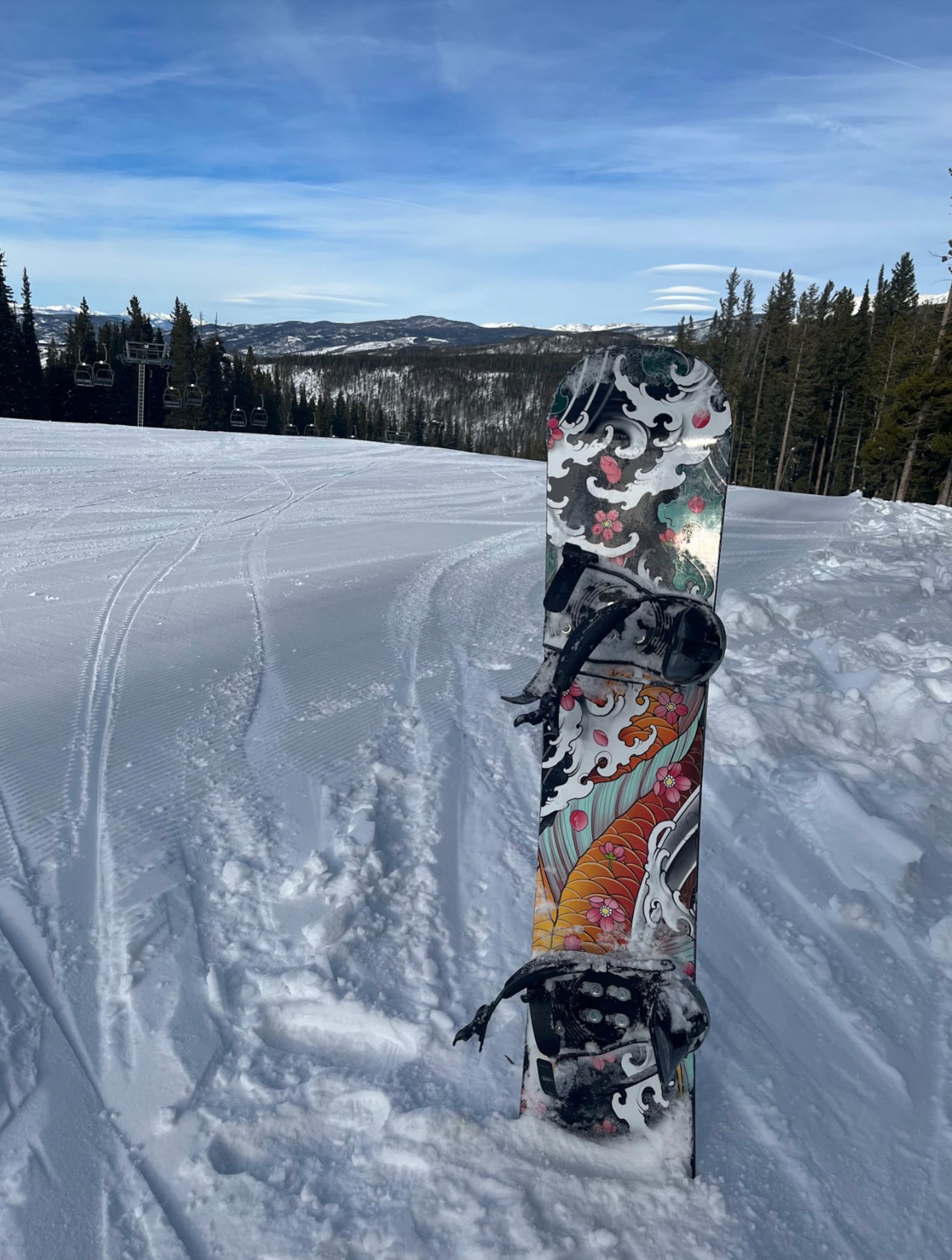 Koi Vinyl Snowboard Wrap Kit - Etsy