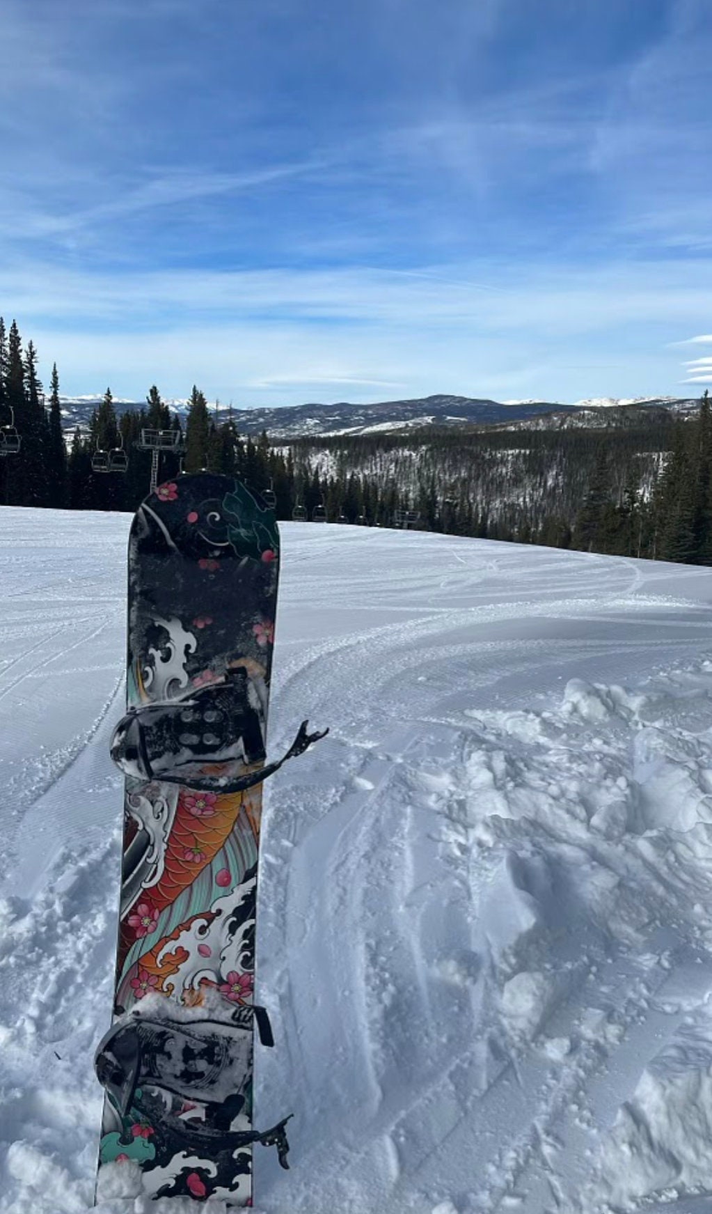 Koi Vinyl Snowboard Wrap Kit - Etsy