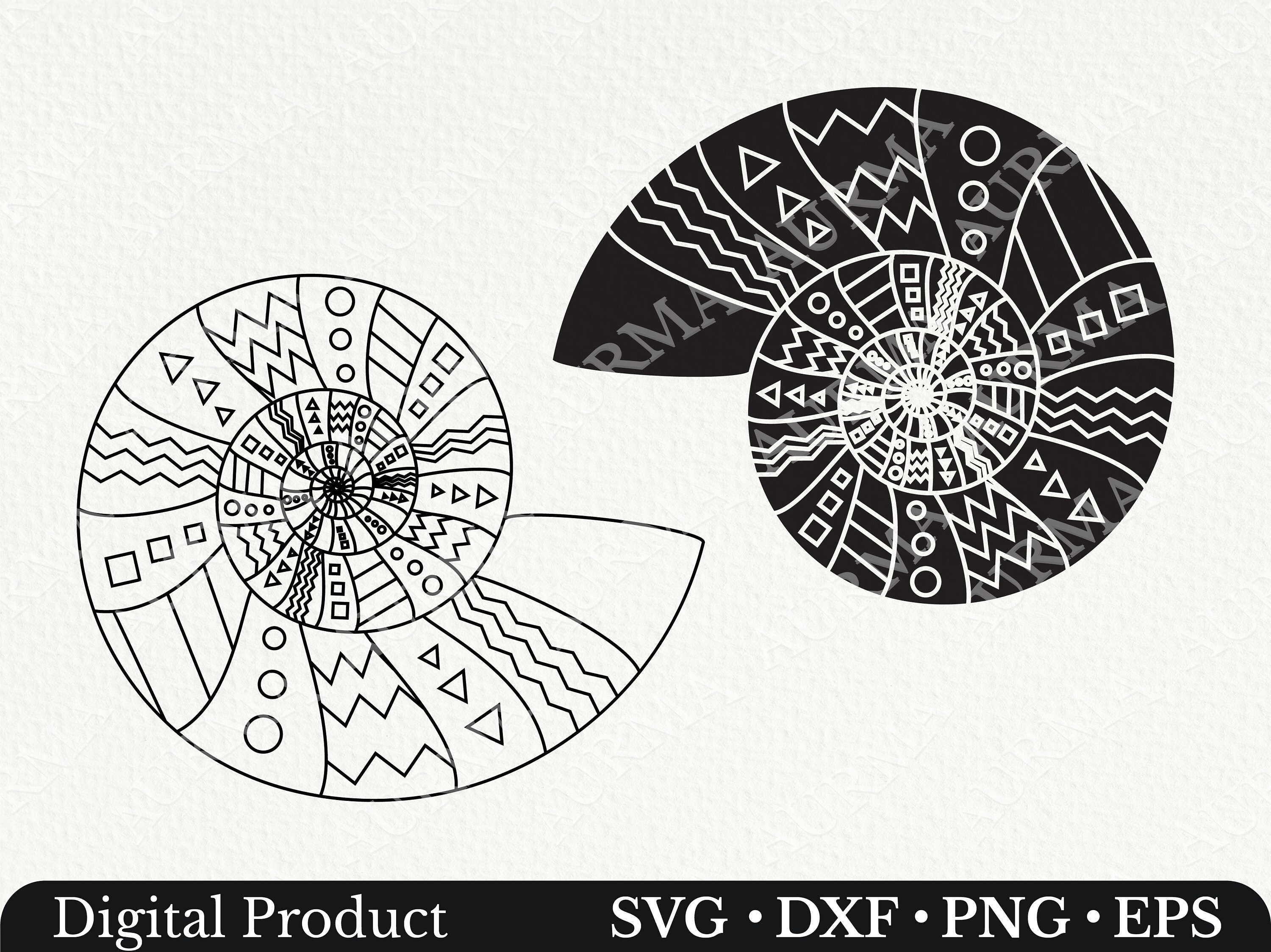 Sea Shell Svg Shell Svg Beach Svg Seashell Svg Geometric - Etsy