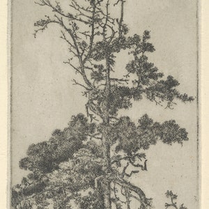 Tree Top Fine Art Etching Print, Printable Art Download, Downloadable ...