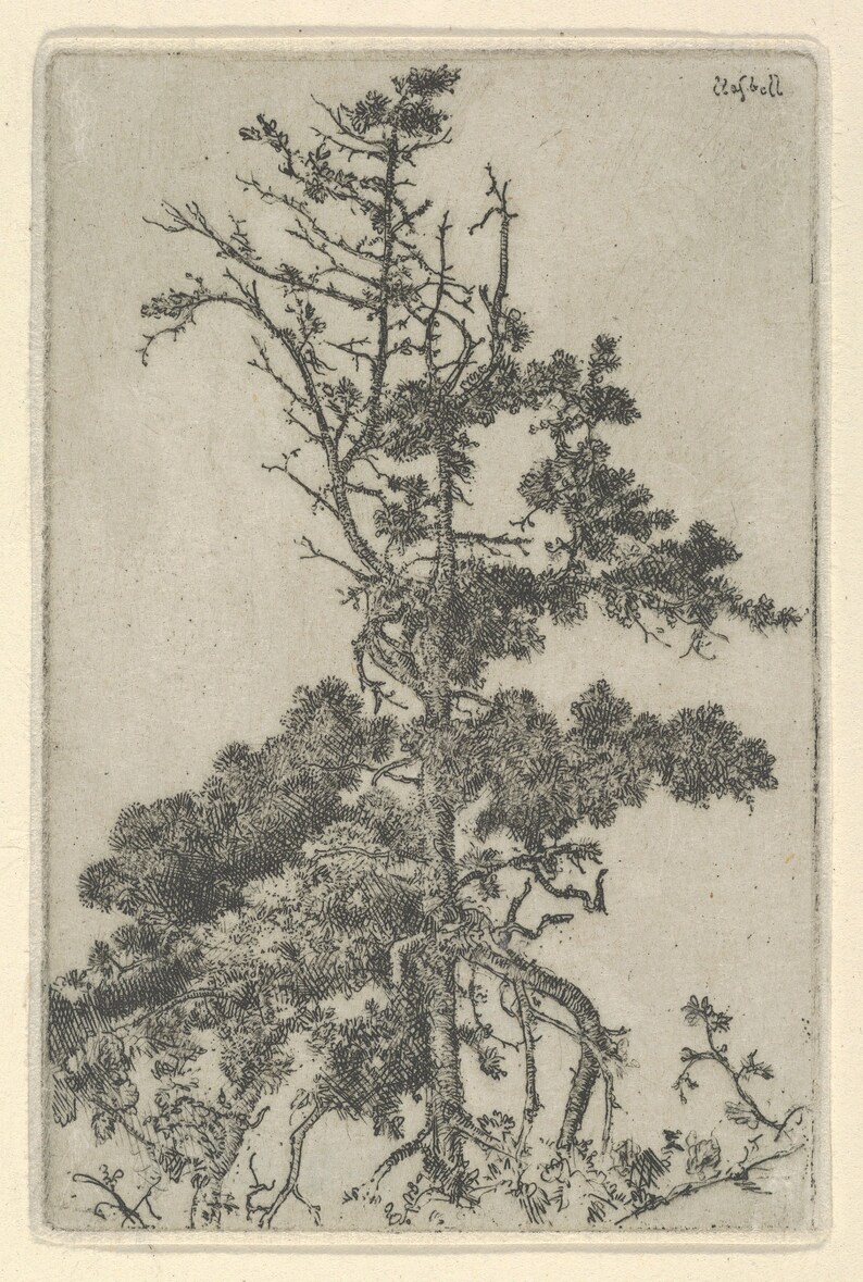 Tree Top Fine Art Etching Print, Printable Art Download, Downloadable ...