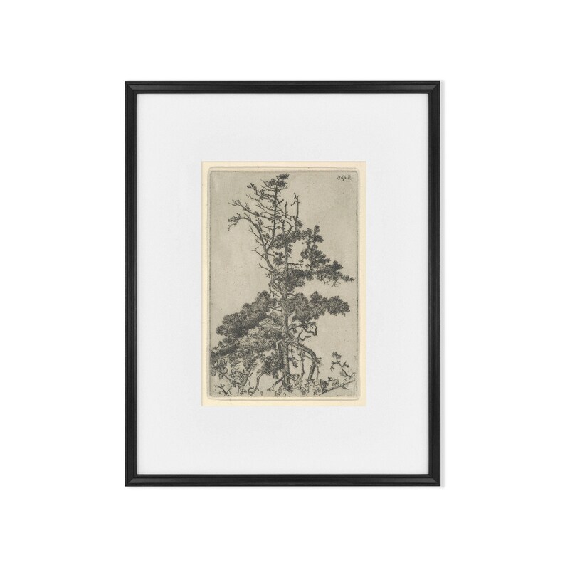 Tree Top Fine Art Etching Print, Printable Art Download, Downloadable ...