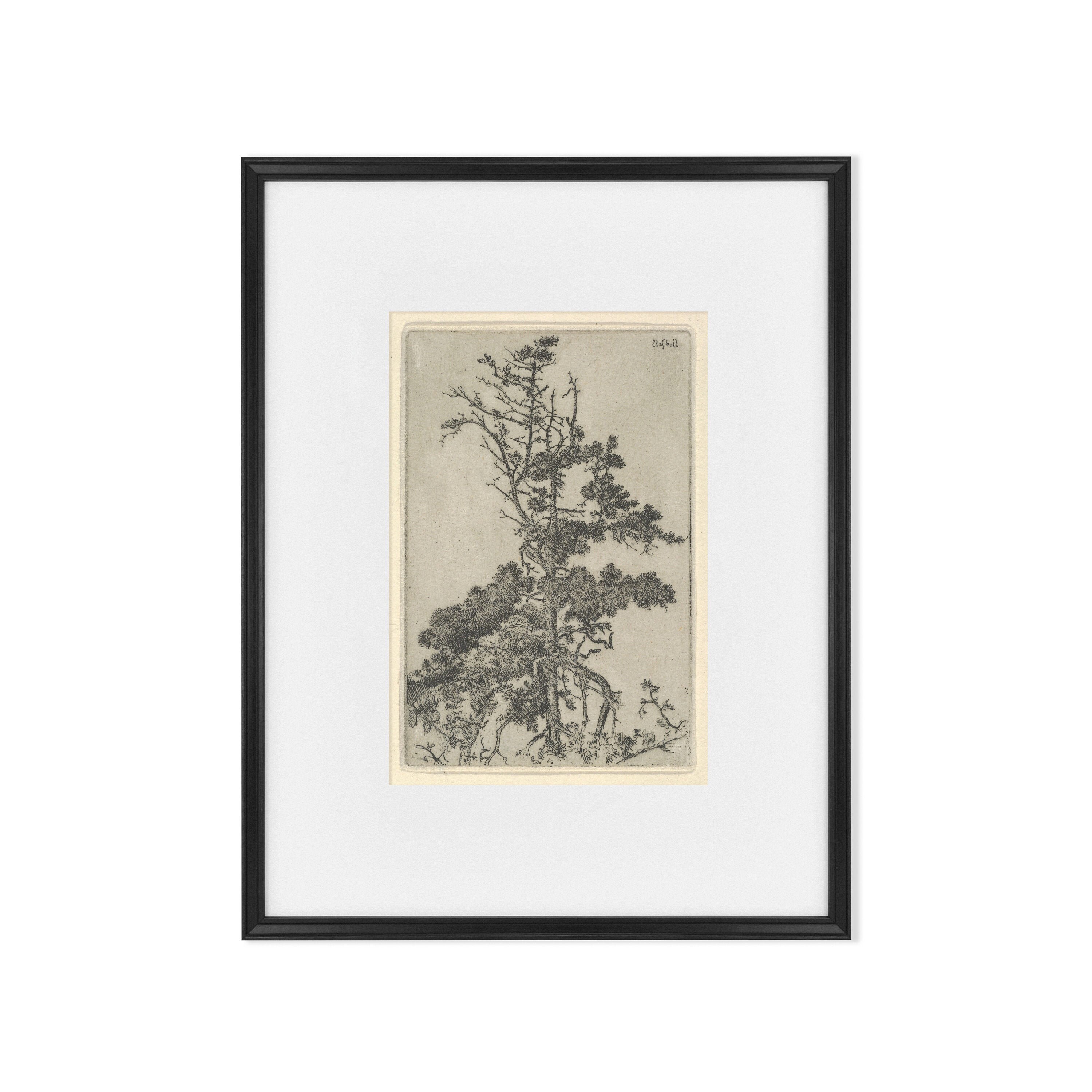 Tree Top Fine Art Etching Print, Printable Art Download, Downloadable ...