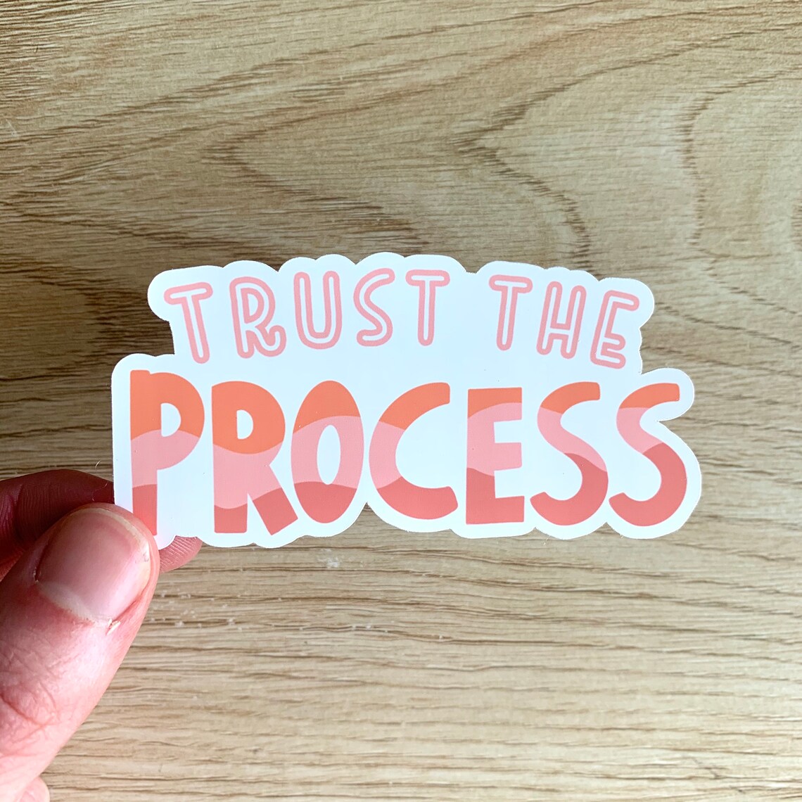 Trust The Process Sticker Inspirational Quote Stickers | Etsy