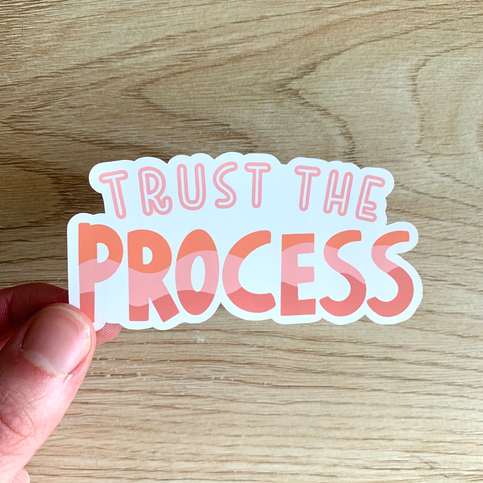 Trust The Process Sticker Inspirational Quote Stickers | Etsy