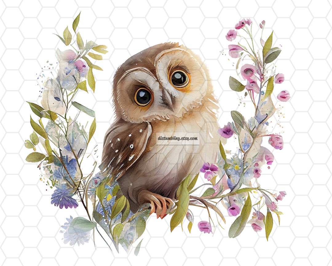 Owl Floral Sublimation Watercolor PNG Downloads PNG Transparent ...