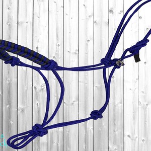 Royal Blue Large Mini Rope Halter With Royal Blue and Charcoal Braided ...