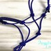 Royal Blue Large Mini Rope Halter With Royal Blue and Charcoal - Etsy