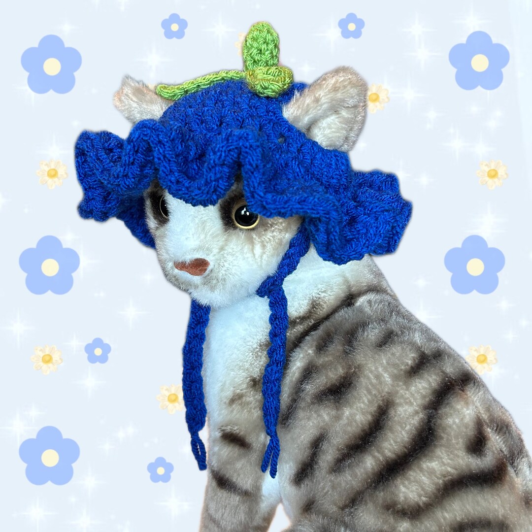 Crochet Blueberry Pet Cat Bucket Hat - Etsy