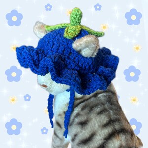 Crochet Blueberry Pet Cat Bucket Hat - Etsy