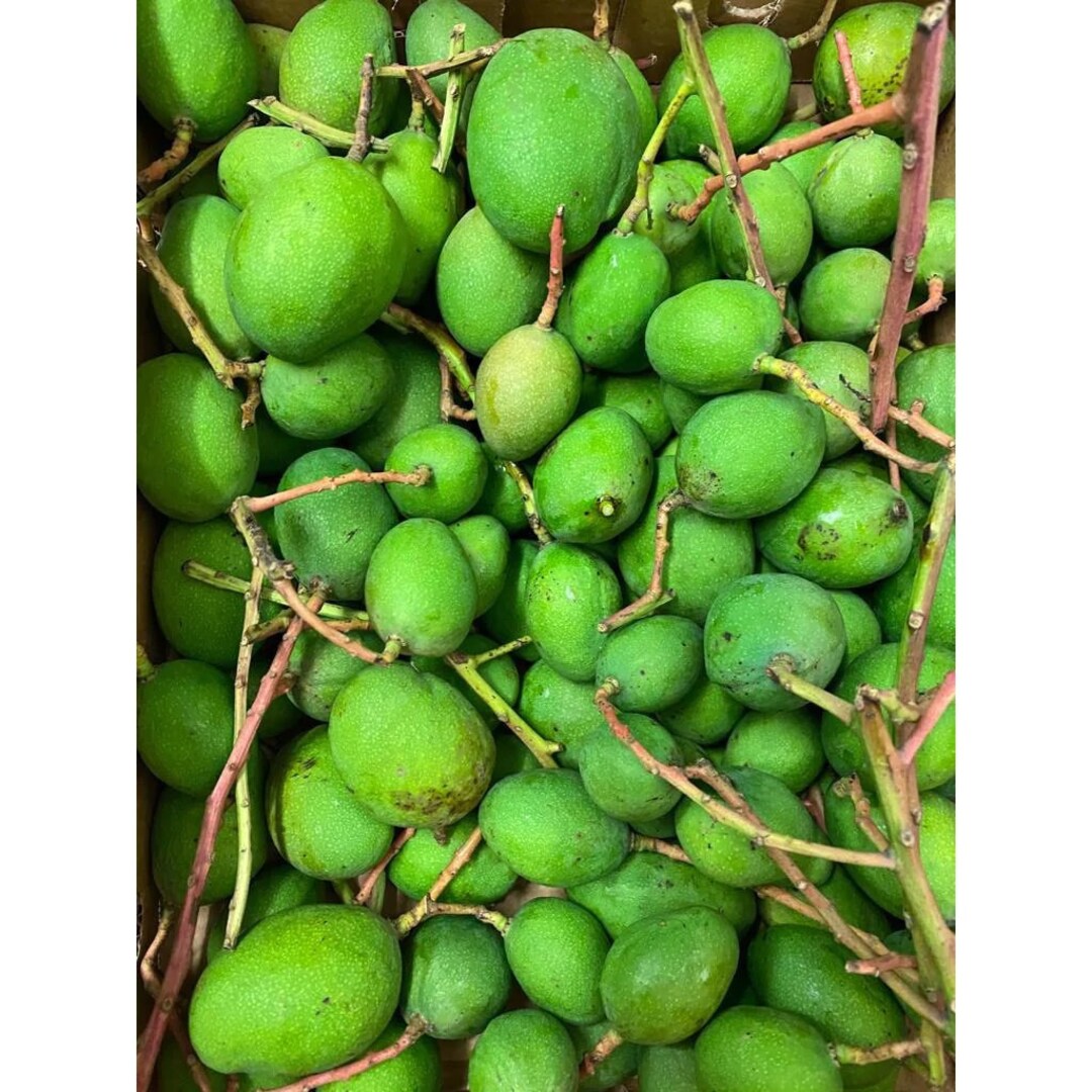 Mango, Green Raw Fresh Mango Small - 500g - Etsy UK