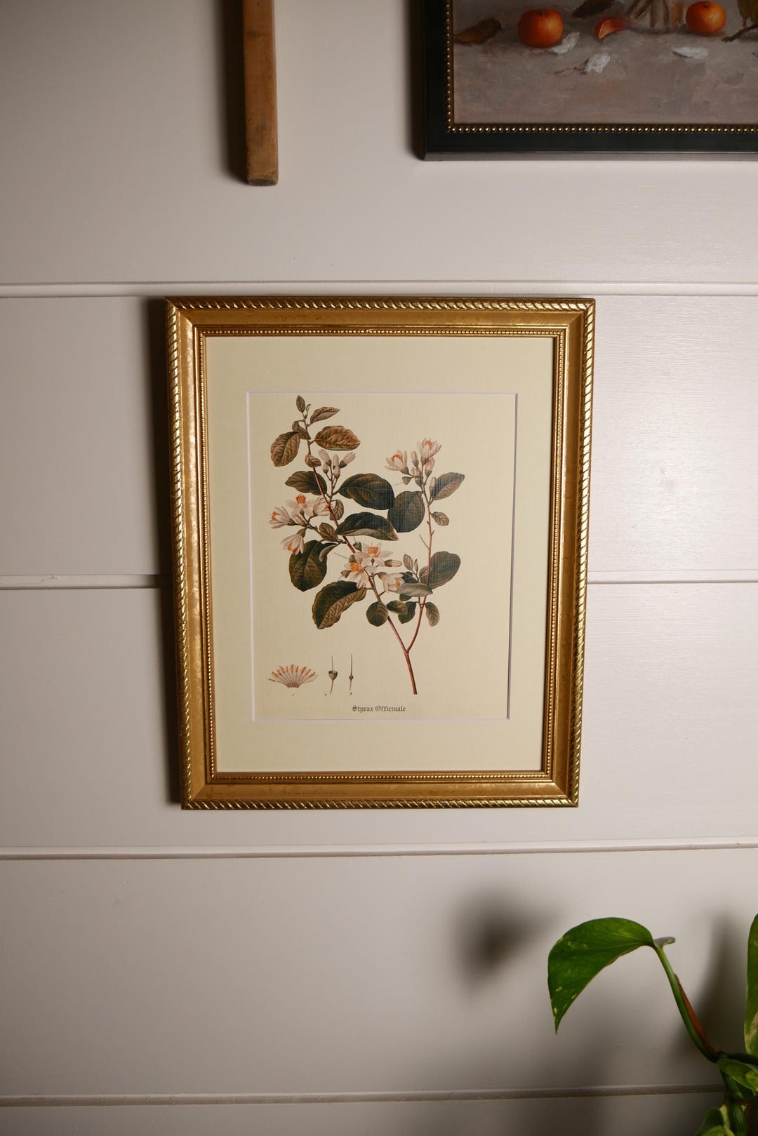 Vintage Gold Frame With White Floral Vintage-inspired Print 12in X 14 ...