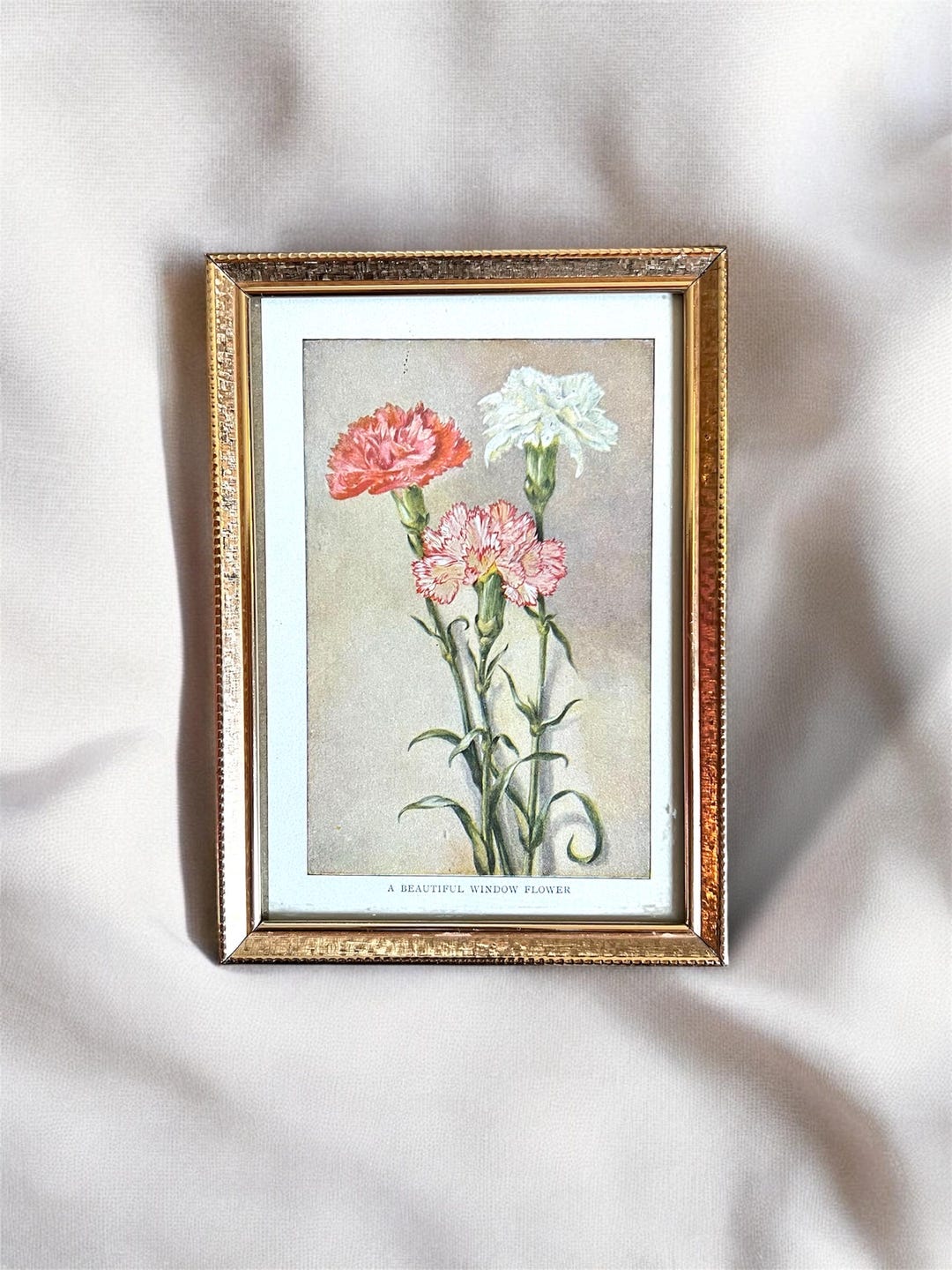 Vintage Carnation Gold Framed Artwork, Vintage Pink and White ...