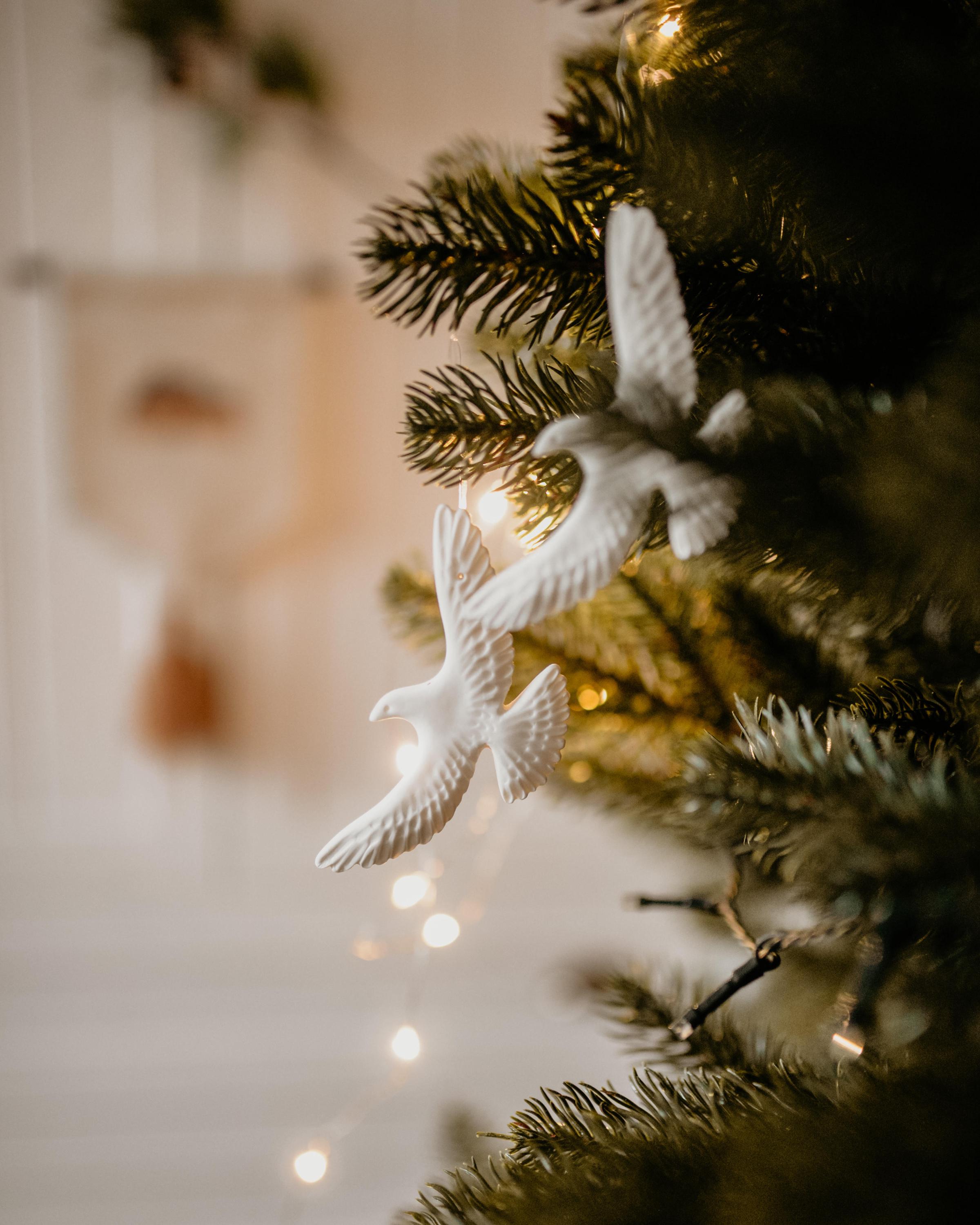 Friendship Turtle Doves Ornaments Christmas Tree Ornament - Etsy